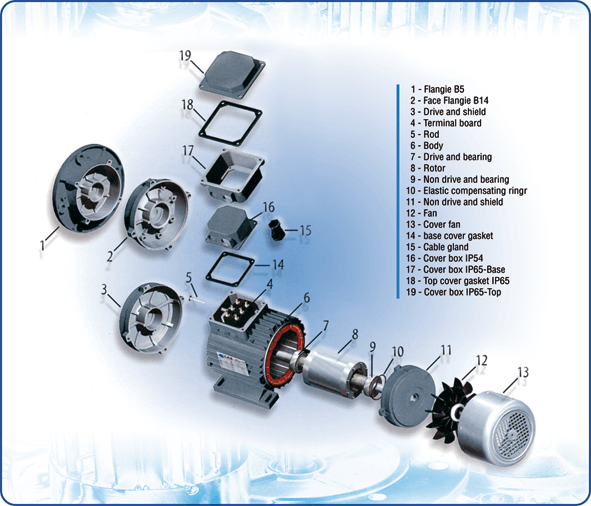 Shapes Electric Motors CME srl